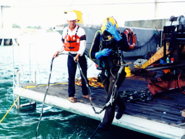 Underwater-Inspection-of-the-Ford-Island-Bridge.png | Sea Engineering, Inc