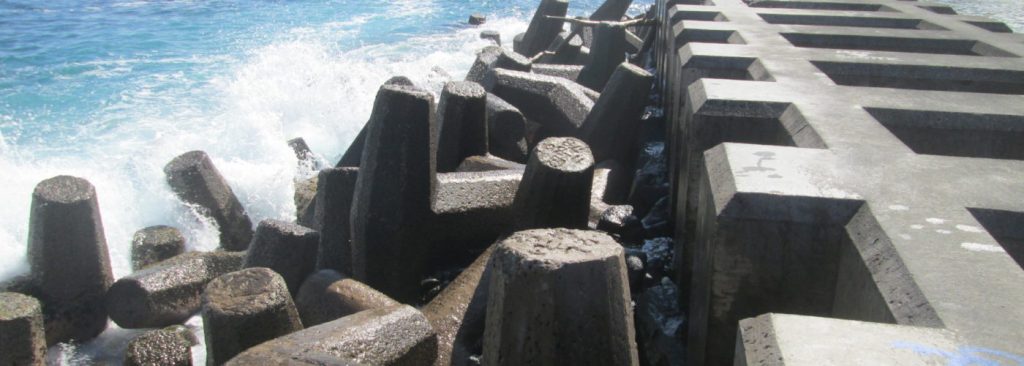 Services | Sea Engineering, Inc